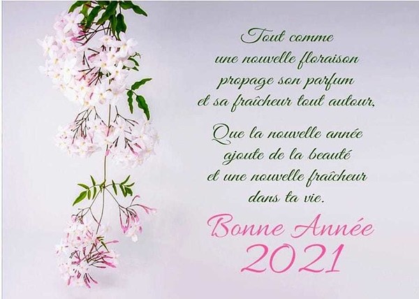 bonne annee